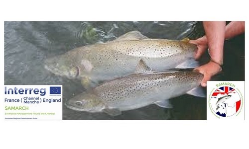 Accueil - SAMARCH lance sa Newsletter